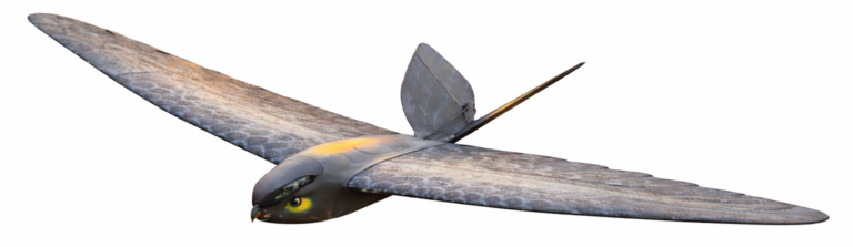 RoBird™ - Aerium Analytics
