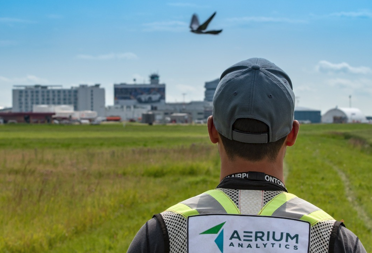 RoBird™ - Aerium Analytics